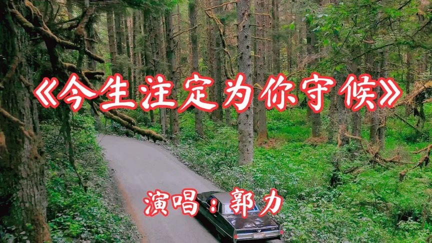 今生注定不能与你相守,《今生注定为你守候》听哭了多少痴情人!