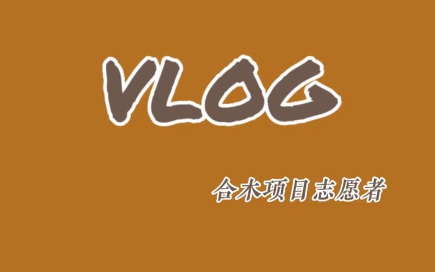 VLOG |公益组织项目志愿者 |大学生暑期生活 |社会实践|广东省博物馆 |...