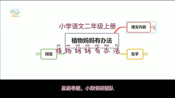 思维导图:一个知识,一张图。画出思路,画出记忆。小学,语文