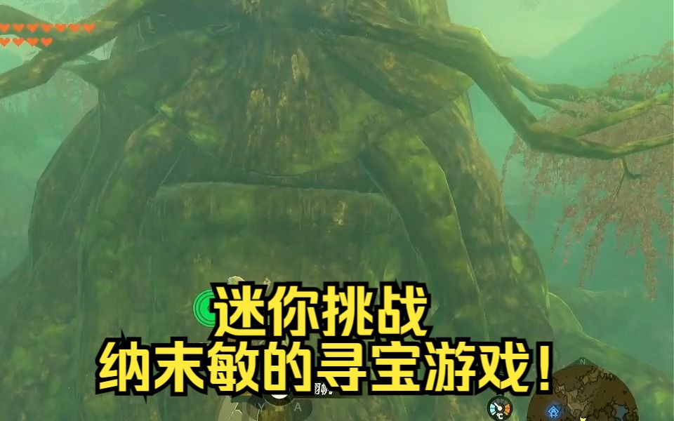 迷你挑战 纳末敏的寻宝游戏!森林系列武器获取位置(塞尔达传说 国王之...