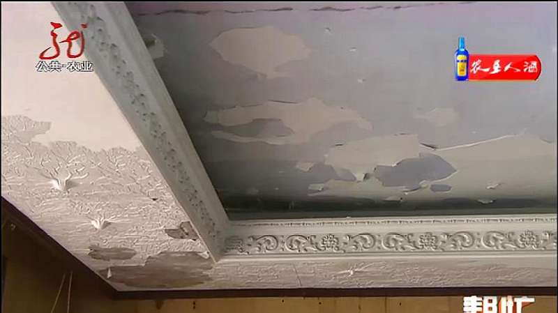 楼上漏水害惨楼下,寻找业主重重困难,损失谁来承担