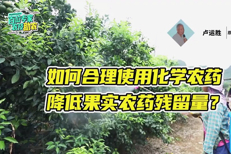 如何合理使用化学农药,降低果实农药残留量?