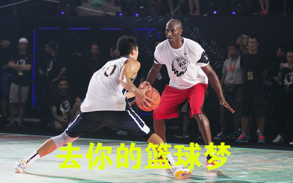 去你的篮球梦,把球给我我要回家