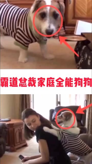 帮你洗好拖地擦皮鞋