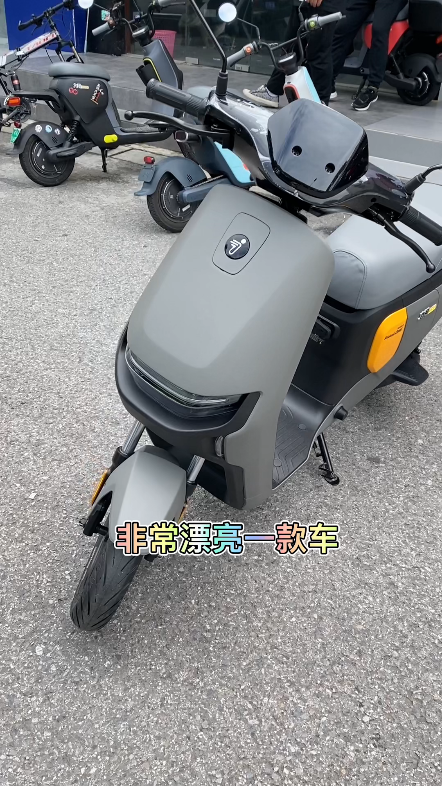 九号电动 国标车F90超长续航