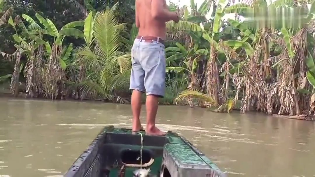 大叔在河里撒下一网,动作这么潇洒有鱼吗?拉上渔网有惊喜!