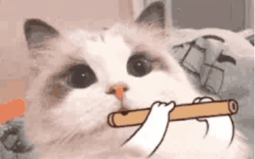 【竹笛】试讲《红领巾列车奔向北京》(下)