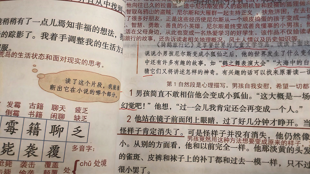 部编六下6《骑鹅旅行记》略读课教学,通过阅读提示明确阅读任务