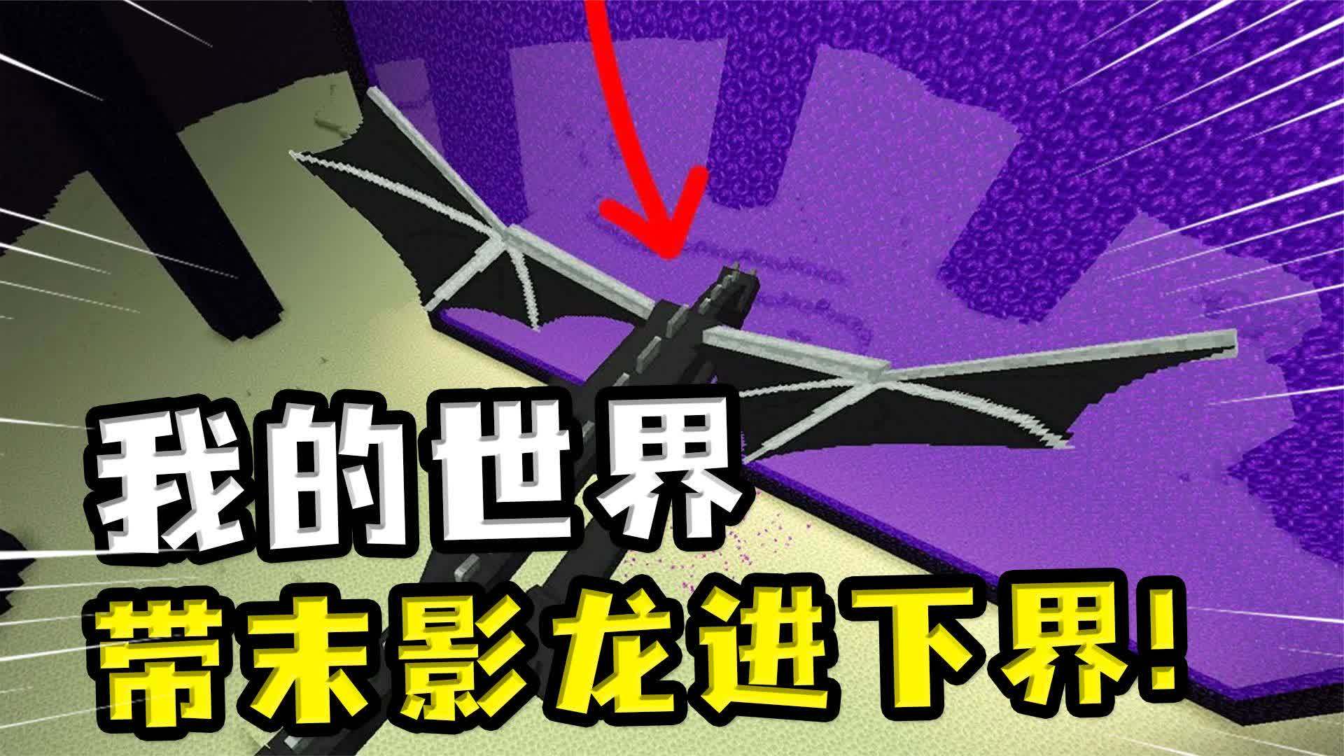 我的世界:玩家成功完成水下传送门,还想把末影龙带进下界?