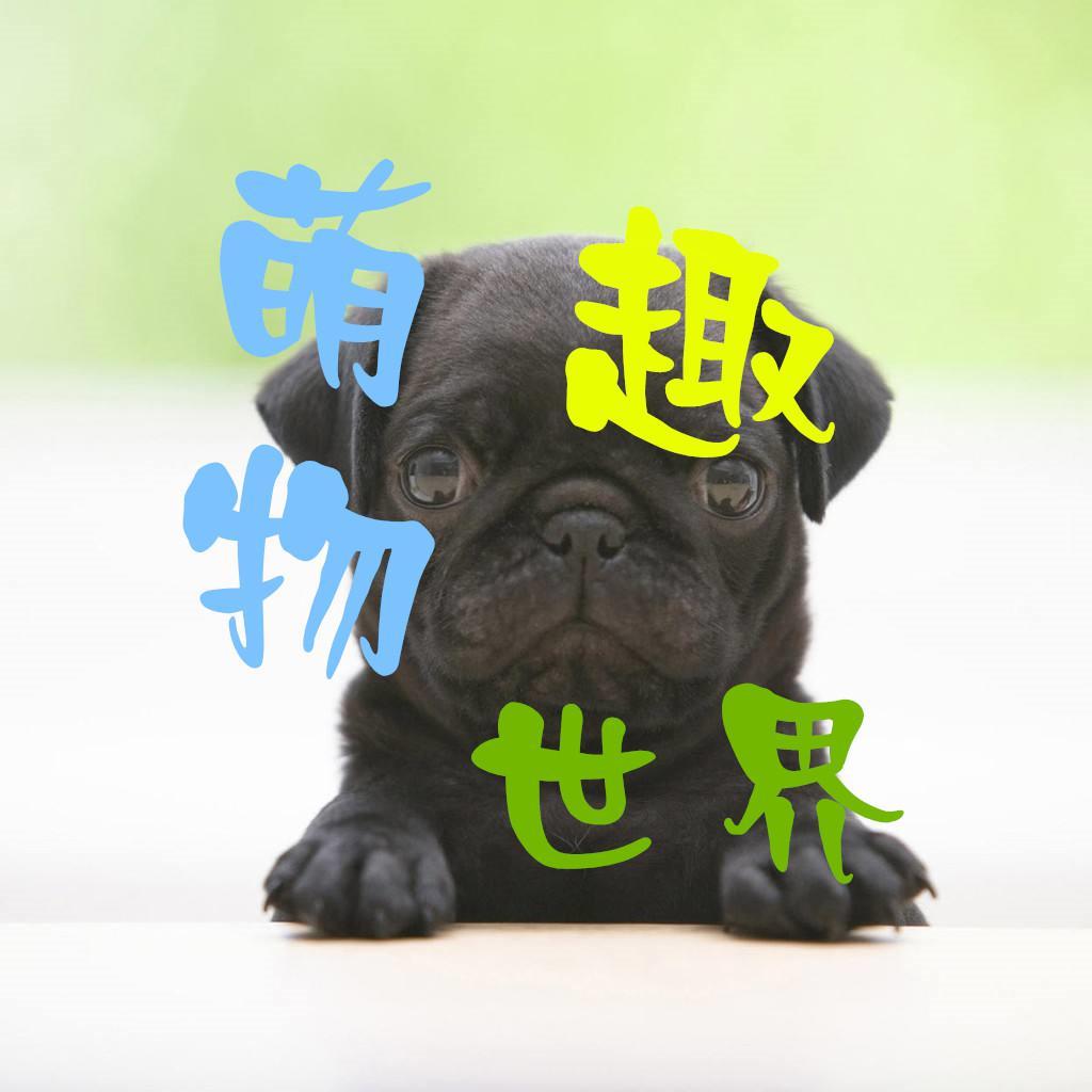 萌物趣世界 