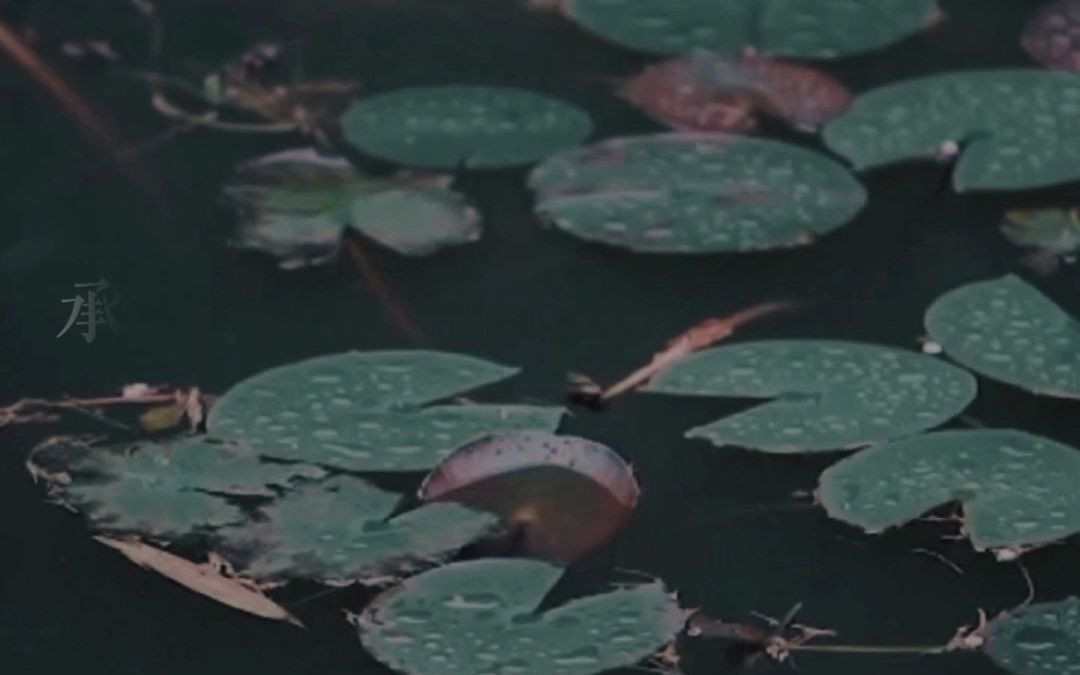 安徽风景园林工程设计专项资质承担业务范围