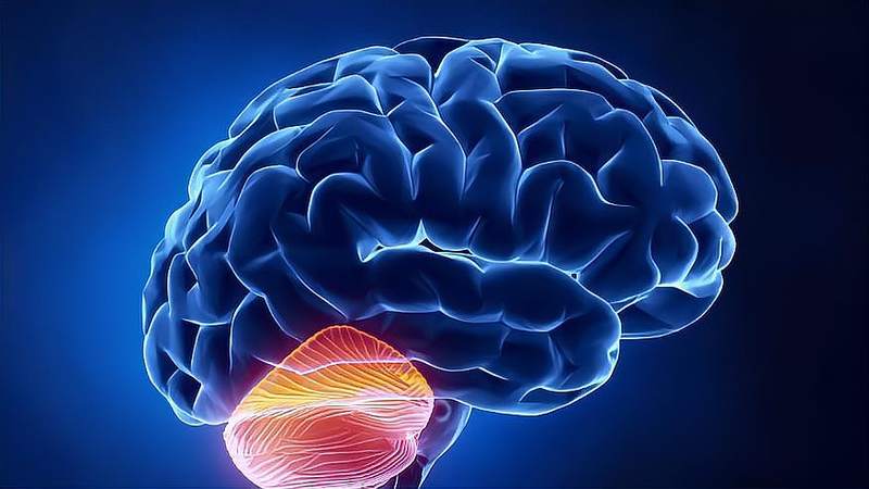 中年人手抖是什么病?手颤应该注意以下几个方面