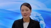 同步课程数学八年级上册 第33集 分式方程的基础应用