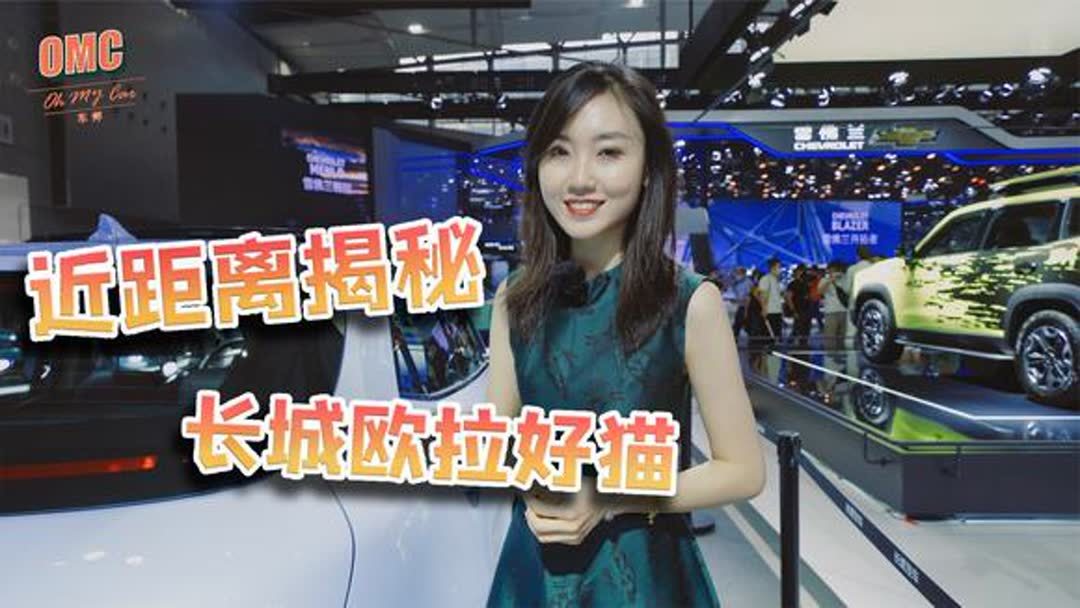 近距离揭秘长城欧拉好猫