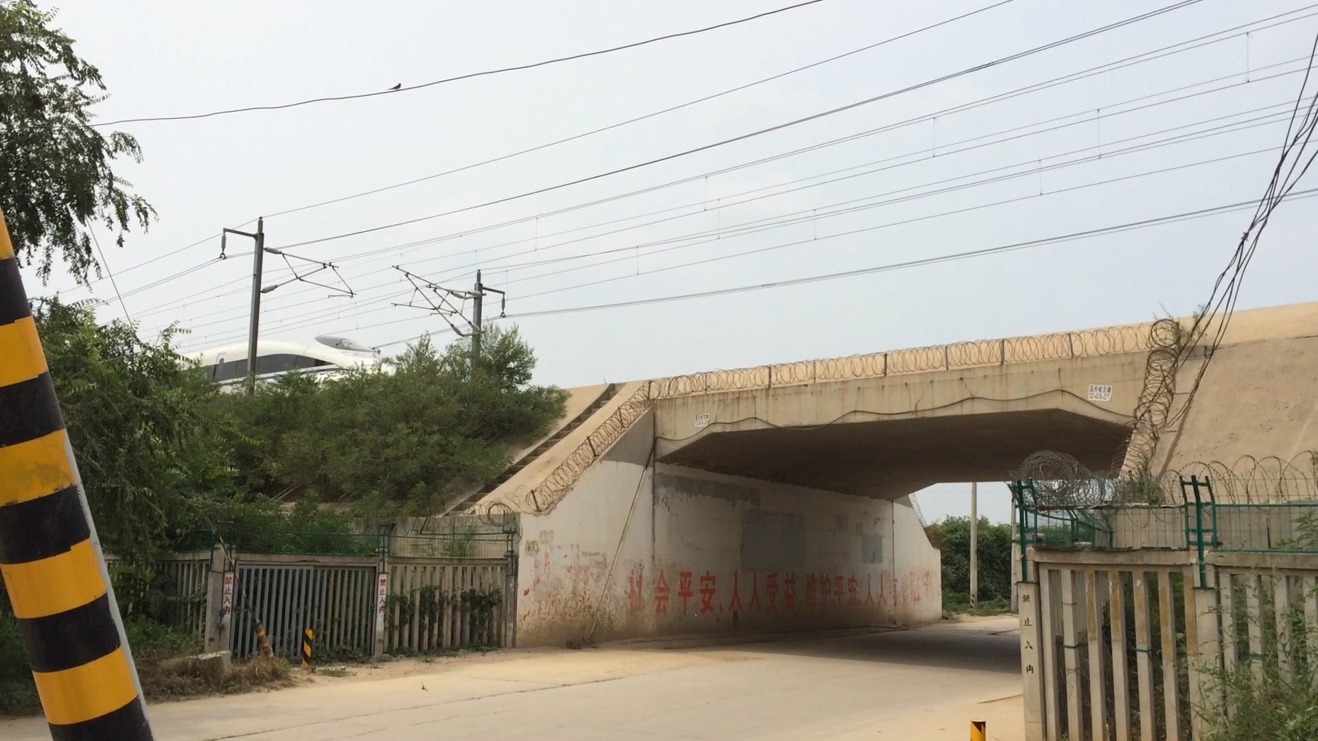 CRH380A-2895担当G301次列车【北京南-福州南】通过沧州西站。