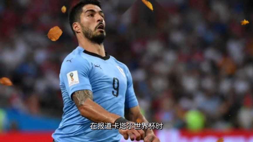 卡塔尔世界杯中国什么都去了,就国足没去