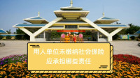 用人单位未缴纳社会保险,应承担哪些责任