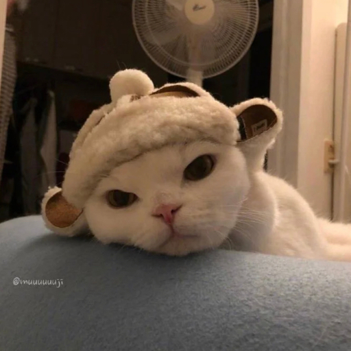 动感光波skrskrskr 