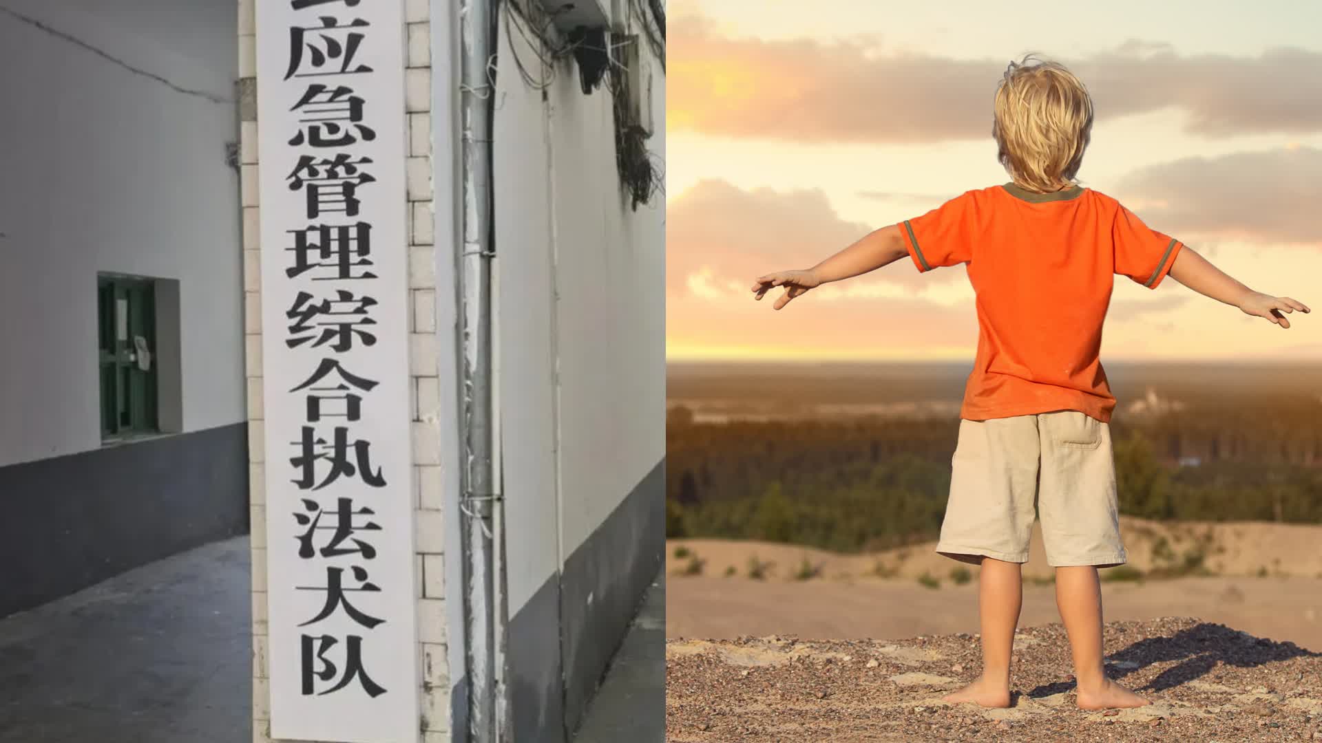 执法大队变“执法犬队”?当地通报:10岁孩子所为,责令加强管教