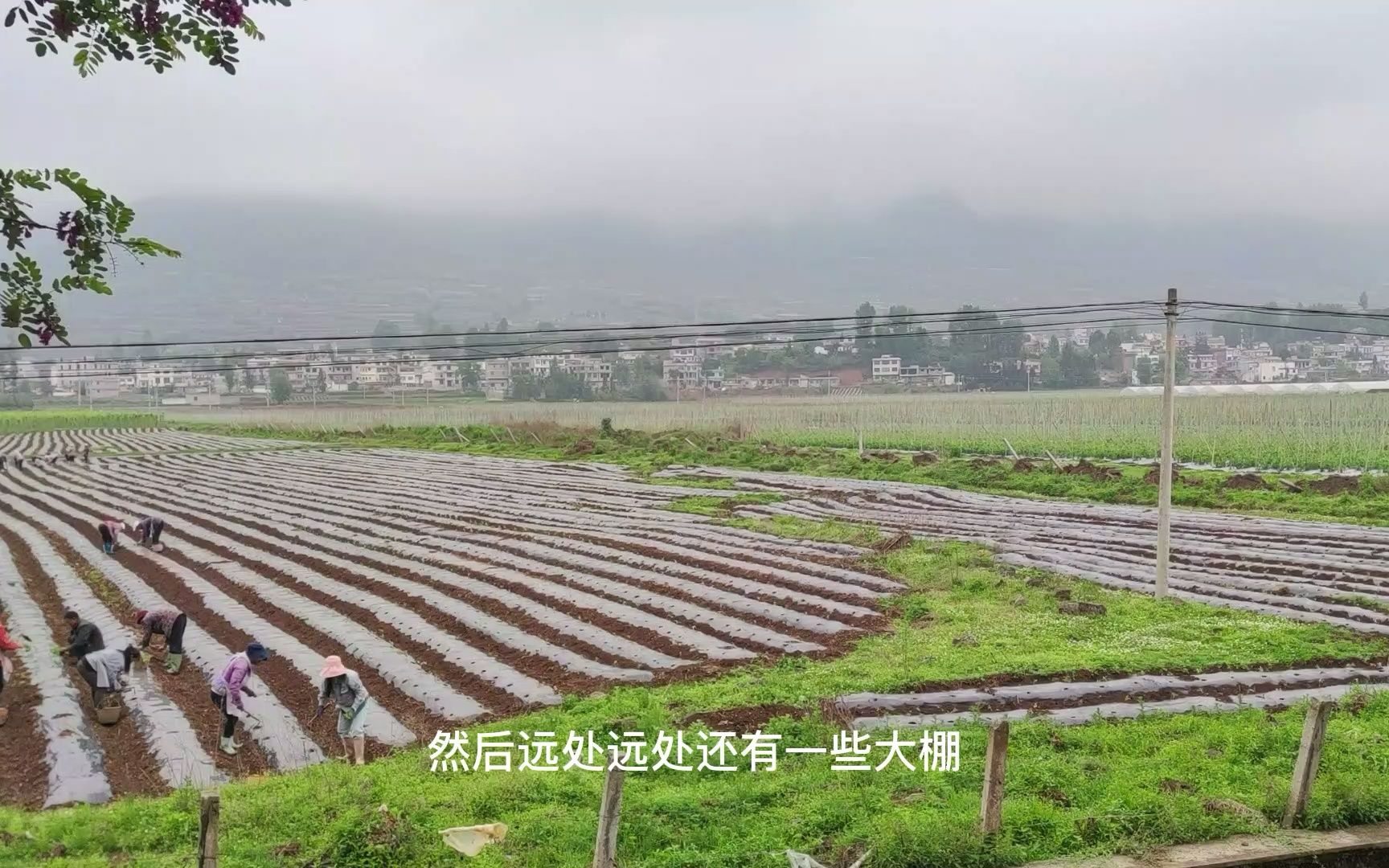 农村搞土地流转,生活越来越好了?