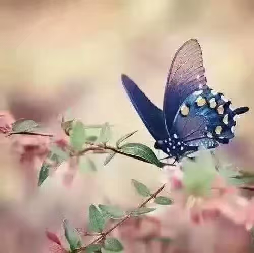 行人语 