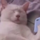 Simon-H-Bingie 