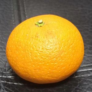 小梦玩家 