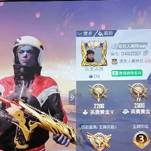 游戏里的高玩 
