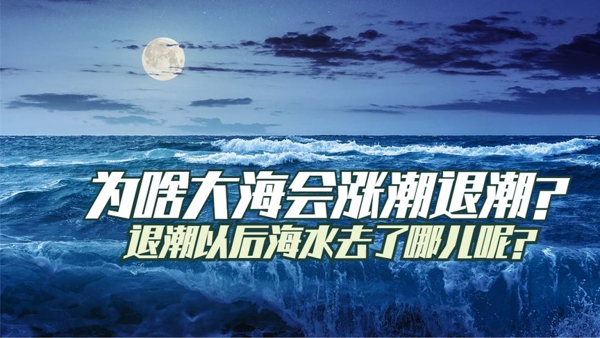 为何大海会涨潮退潮?退潮以后海水去哪了?看完长知识了