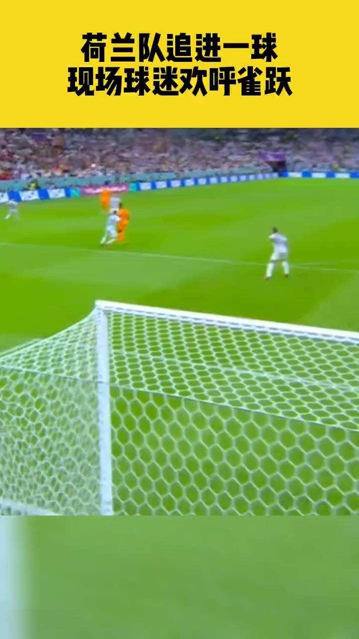 12月10日(北京)卡塔尔,荷兰队追进一球,现场球迷欢呼雀跃#2022世界杯