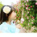 临西童之梦幼儿园 