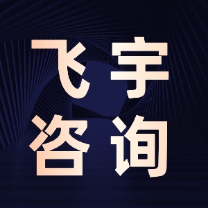 飞宇咨询 