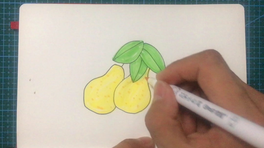 简笔画梨的画法