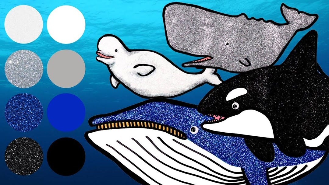 儿童趣味绘画:带你走进海洋世界,认识抹香鲸,蓝鲸,白鲸!