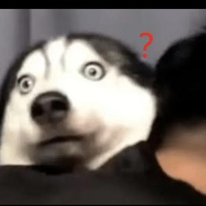 就叫这名儿了吧 