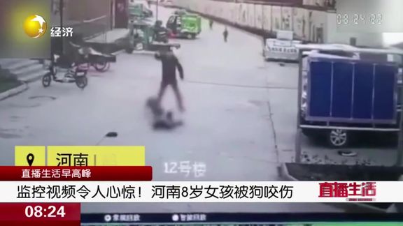 监控视频令人心惊!鹤壁8岁女孩被狗撕咬1分多钟,治疗已花费16万
