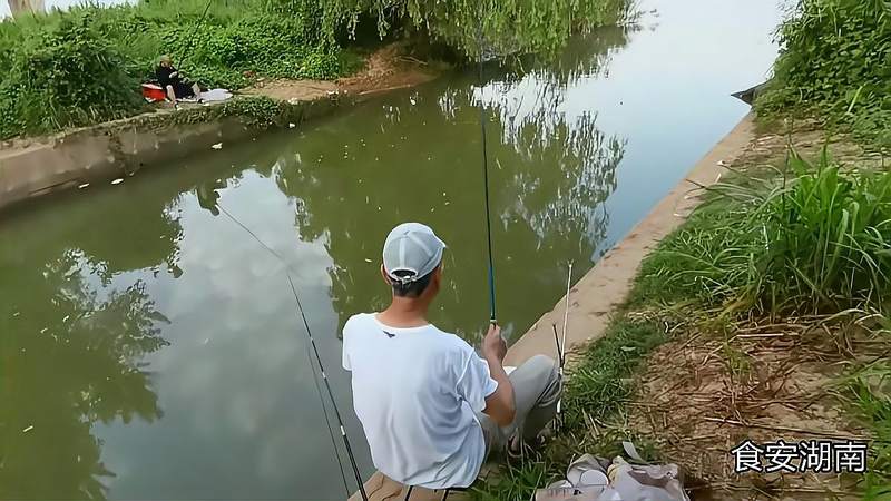 河边是单杆还是双杆好?钓友蚯蚓守钓、拉饵打频率就等巨物来袭