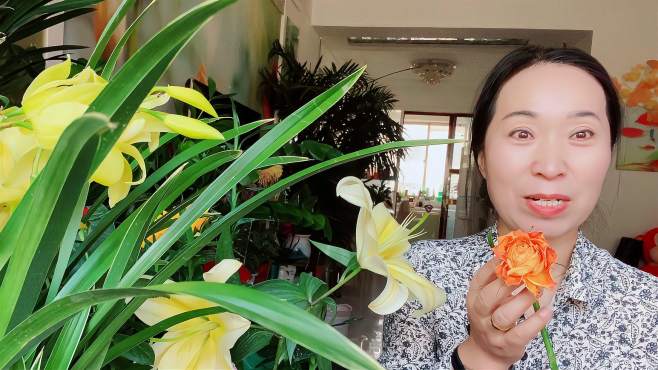 黄色的花代表什么意思