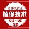 奇伟说农业