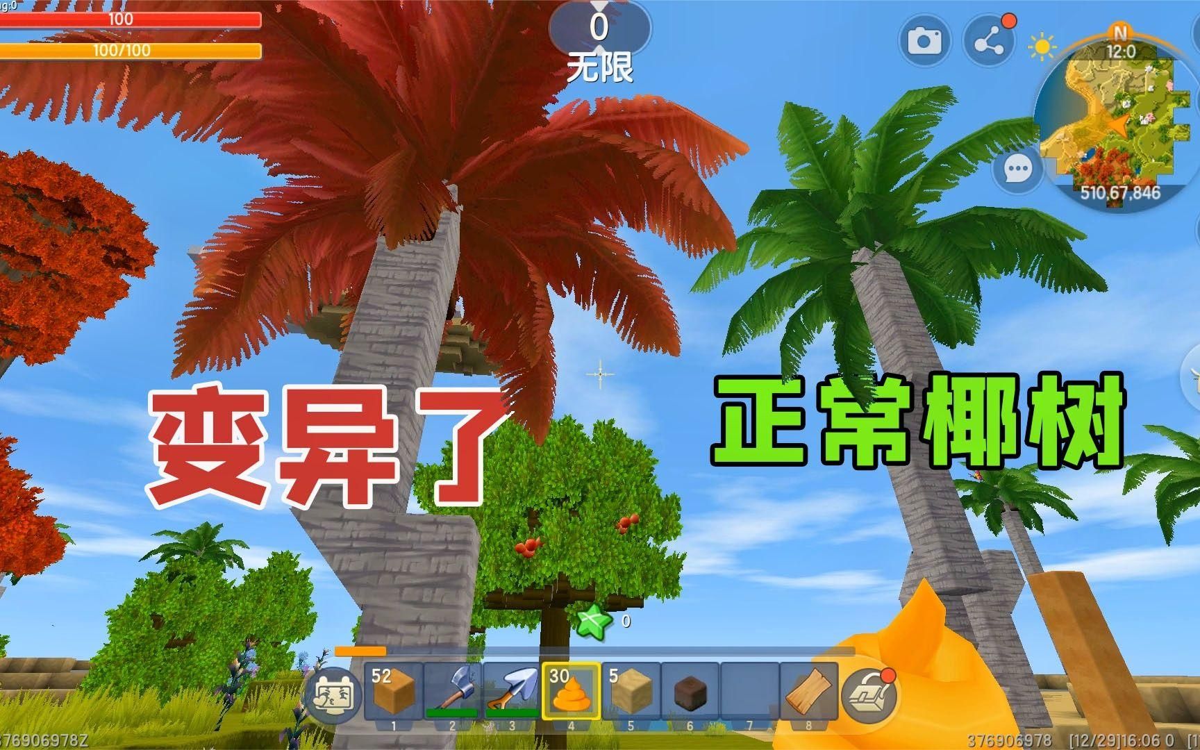 迷你世界:在新版本海洋世界里,把椰树种在红土地上,会发生变异