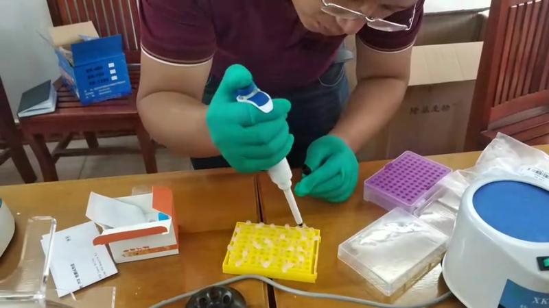 PCR实验基本操作