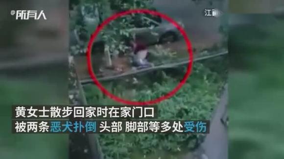 女子家门口被两大型犬撕咬,大喊“救命”