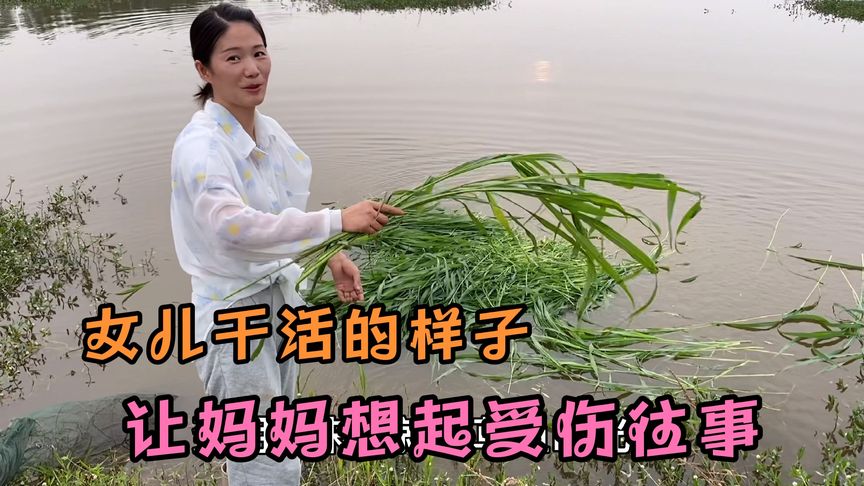 晨晨骑上新车去池塘,干活手法娴熟,让妈妈忆起往事,满是心疼