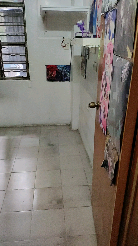 从小住的房间,放货,上架,手办柜,睡觉,