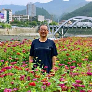 华锦罗 