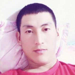 大伟看西瓜 