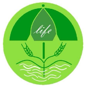 化工原理刘老师 