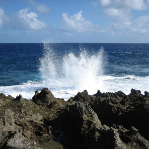 如曦书法学习室 