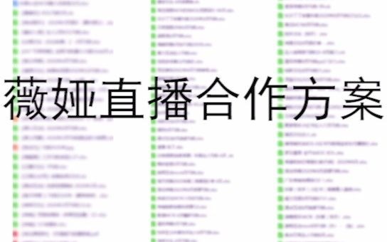 薇娅电商直播合作品牌带货营销策划内容传播设计方案计划书模板