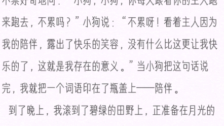 六年级变形记作文